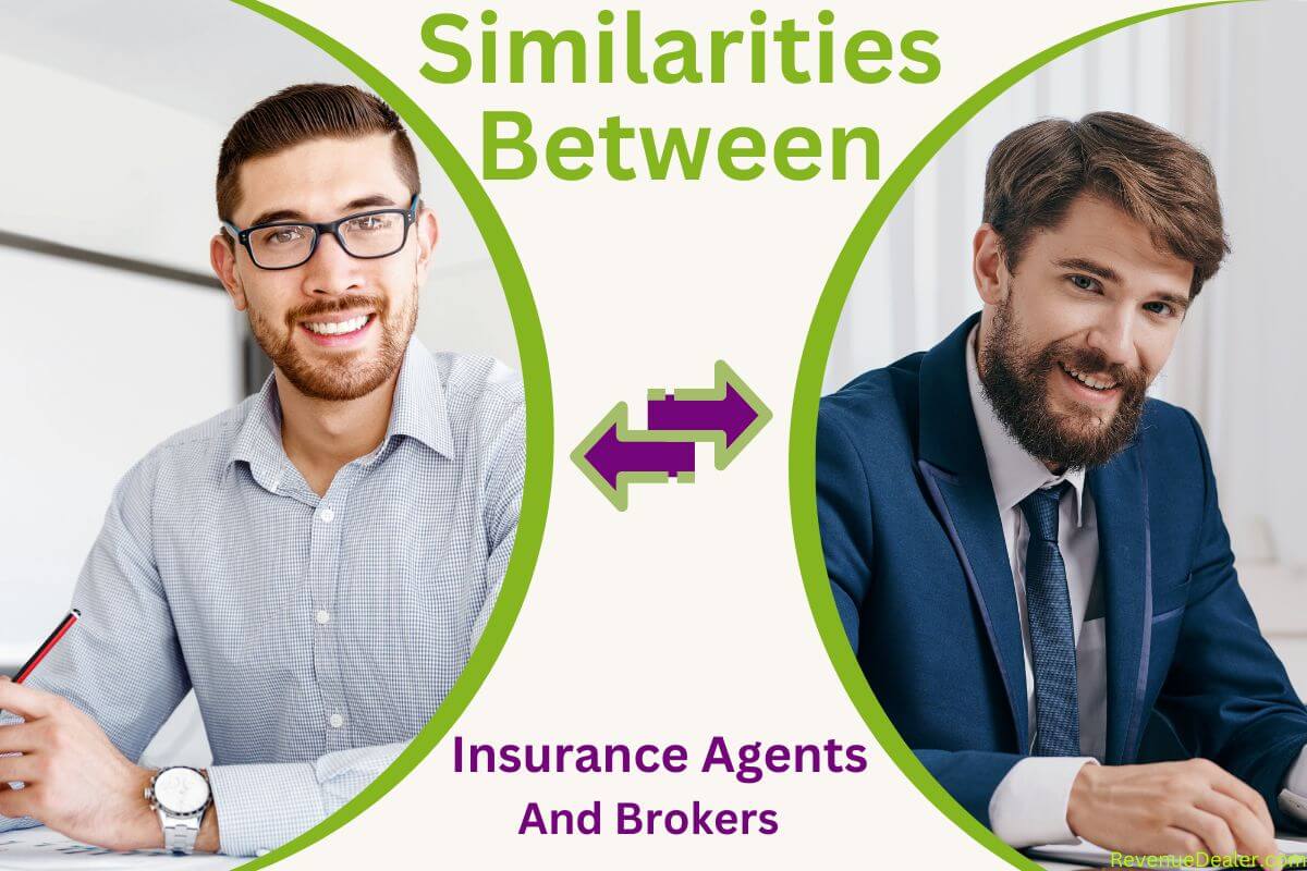 Insurance Agents vs Brokers | What's The Difference - Revenue Dealer